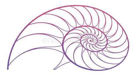 nautilus shell fibonacci sequence and natural beauty vector design generative ai stock vector