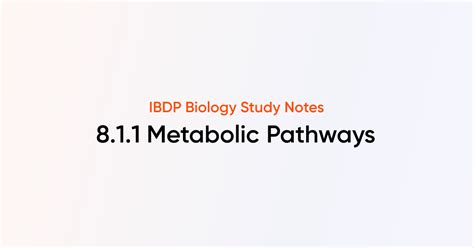 Metabolic Pathways 811 Ib Dp Biology Notes Tutorchase