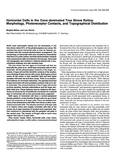 PDF Horizontal Cells In The Cone Dominated Tree Shrew Retina Morphology Photoreceptor