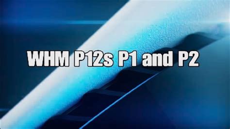 FFXIV P12s WHM Pov YouTube