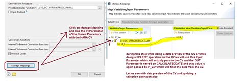 Pass Input Parameters To Cv From Parameters Derive Sap Community