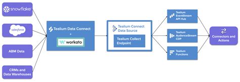 About Data Connect Data Connect Tealium Docs