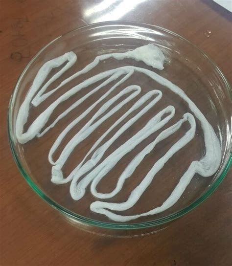 과학실험보고서 나일론 합성실험 네이버 블로그