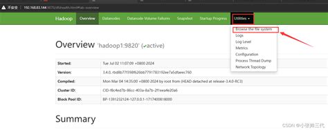 Centos7安装 Hadoop集群centos7安装hadoop集群 Csdn博客