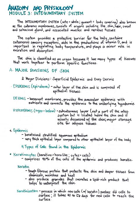 Solution Anatomy And Physiology Studypool
