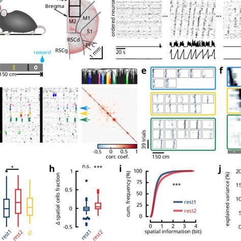 Figure E Typical Experiment Timings Cue Presentation Times Are Download Scientific Diagram
