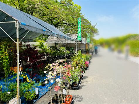 大阪市中央区花と木がいっぱい大阪城公園で春の植木市が始まっていますよ 号外NET 大阪市