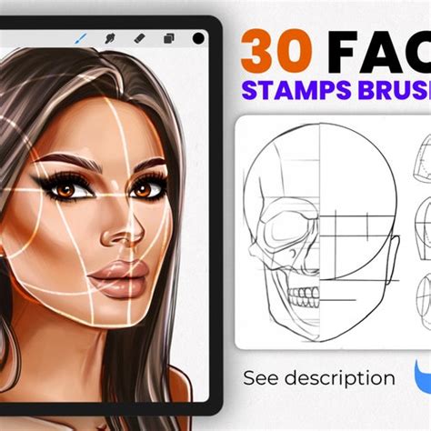 Procreate Portrait Guide Stamps Procreate Head Proportions Etsy