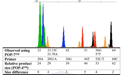 7 Fragment Analysis Results Of The Snapshot™ Assay Positive Control