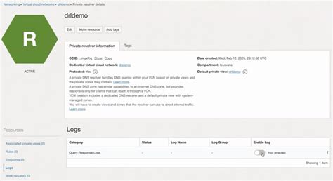 Announcing Oci Private Dns Response Logging Cloud Infrastructure