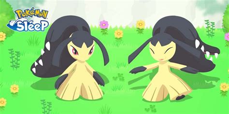 Pokemon Sleep Will Debut Mawile And A Special Cooking Themed Event This Month Pocket Gamer