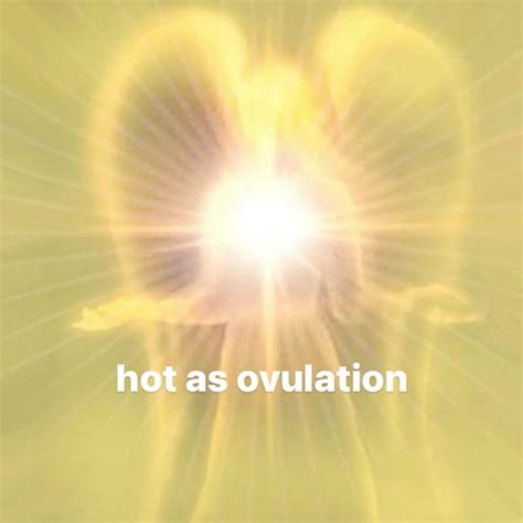 Its Hot As Ovulation Fotos Chistosas Para Whatsapp Imágenes