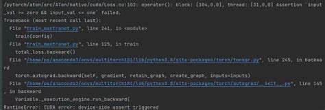 the network output will become nan · issue 13 · ronyabecidan mantranet pytorch · github