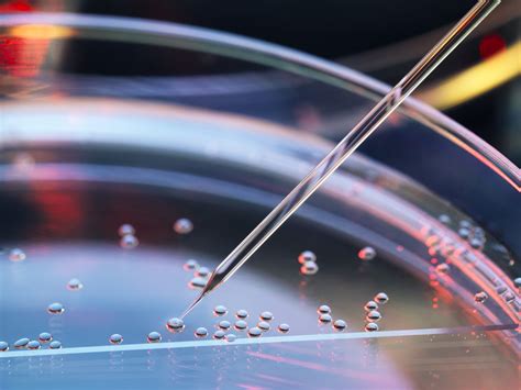 Does The 40 Concept Apply To Stem Cell Technology