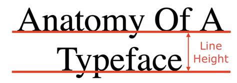 how to customize text alignment and text spacing in css dev community