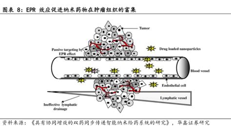 聚合物胶束结构 行业研究数据 小牛行研