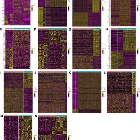 Heatmap Showing The Differentially Expressed Genes For Each Cell Type
