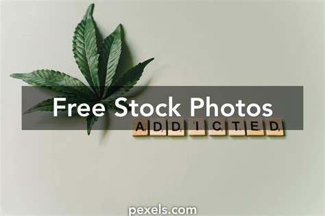 Tik Tok Addicted Photos Download The Best Free Tik Tok Addicted Stock