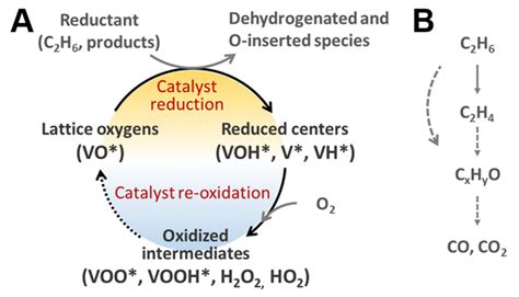 State Of The Art Review Of Oxidative Dehydrogenation Of Ethane To