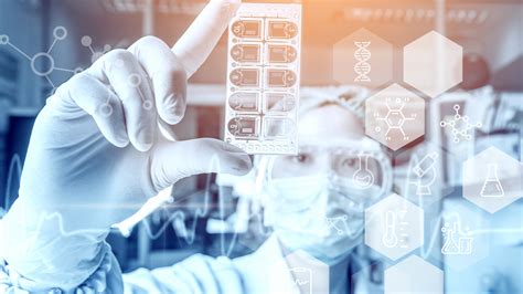 IT Applications In Bioinformatics