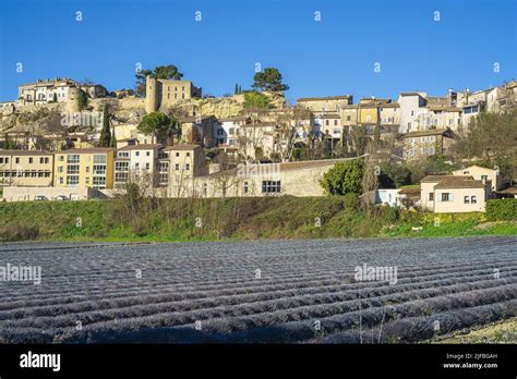 France Vaucluse Luberon Regional Nature Park Menerbes Labelled Les