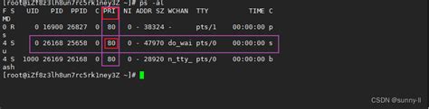 【linux进程】手把手教你如何调整 进程优先级（什么是优先级？为什么要有优先级？）进程优先级怎么设置 Csdn博客