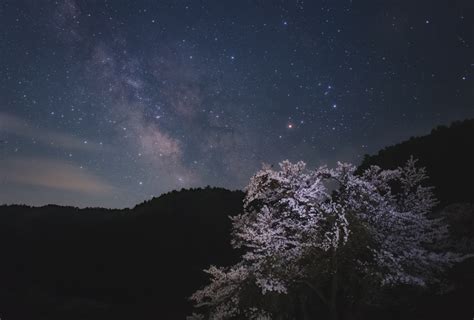 61157 桜と天の川 by jfuk2 天体写真ギャラリー