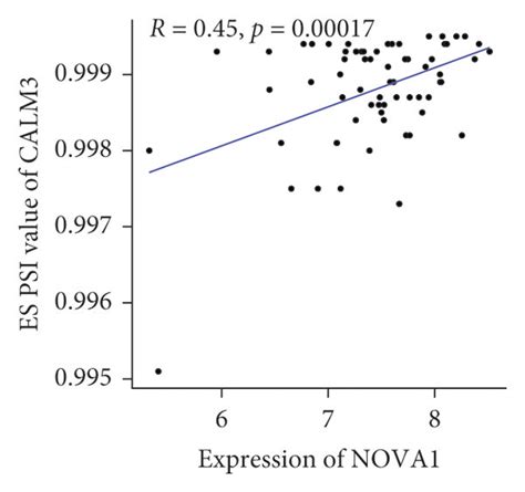 Construction Of Network Between Survival Associated Ases And Sfs A