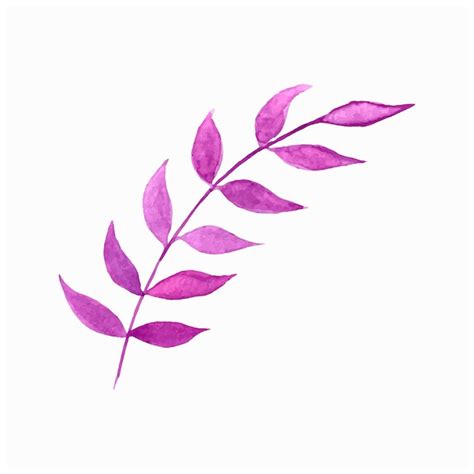 Premium Vector Watercolor Twig Vector Illustration