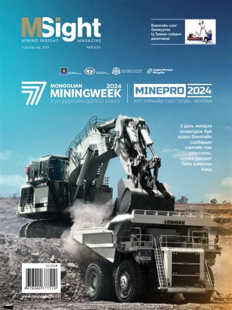 Mining Insight