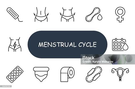 생리 주기 설정 아이콘입니다 탐폰 통증 패드 여성 달력 경련 피임 컵 화장지 자궁 월경 건강 기간 위생 배란 다산 여자 주기