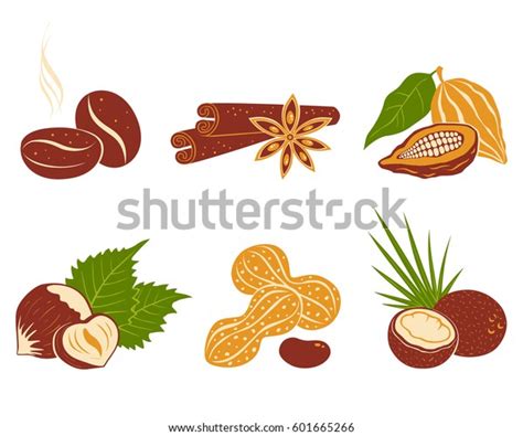 Coco Beans Vector Over 324 Royalty Free Licensable Stock Illustrations And Drawings Shutterstock
