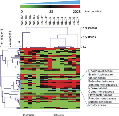 Gastroenterology Causes Of Polypoid Foveolar Hyperplasia Medical