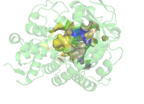 Model | BNUZH-China - iGEM 2024
