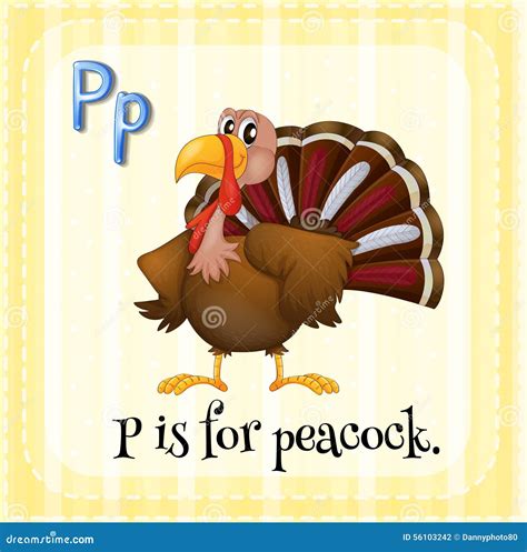 Peacock Stock Vector Image 56103242