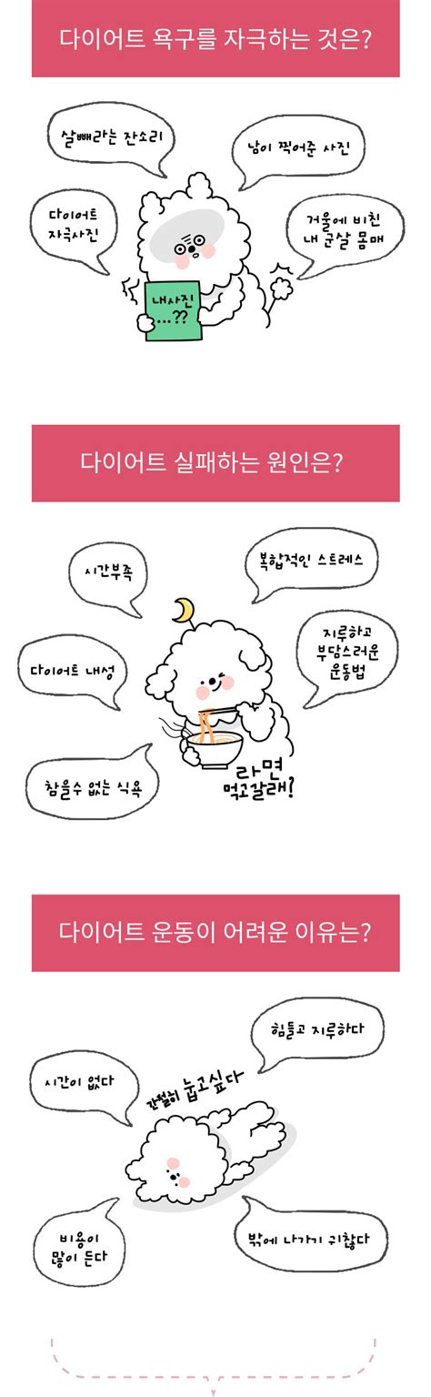 저에게 맞는 다이어트 방법을 찾았어요 이슈칼럼