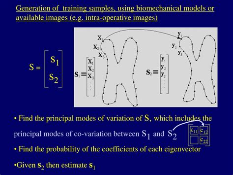 Ppt Measuring Anatomy And Its Deformation Using Deformable Shape