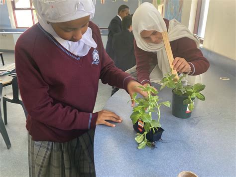 20220812 Years 6 And 7 Science Missing Campus Cssc