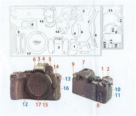 Manual Nikon Z50 Camskns