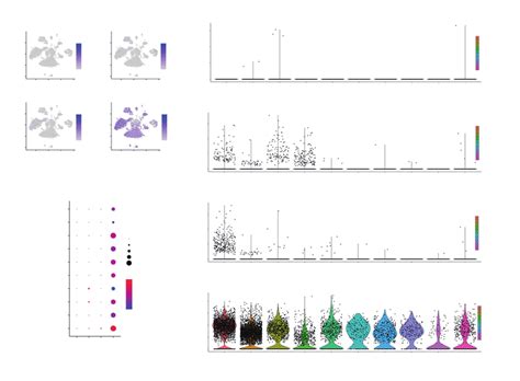 The Expression Level Of Ace2 Tmprss2 Ddp4 And Bsg In Different Cell