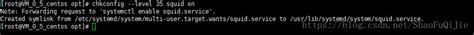 linux上的squid的安装及配置 linux 安装squid csdn博客