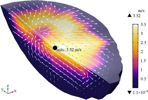 Velocity Field In The Mp Without Mf Download Scientific Diagram
