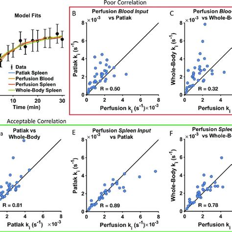 All Models Can Describe Human Data And Gives The Same Uptake Rates With