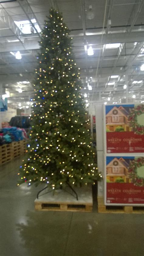 Mike Monasterio Monasteriomike Twitter