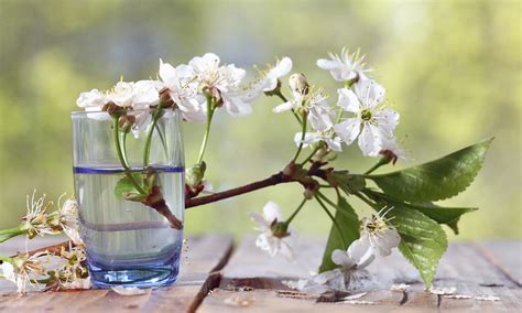 Everything You Need To Know About Haiku Japanese Poetry Guidable