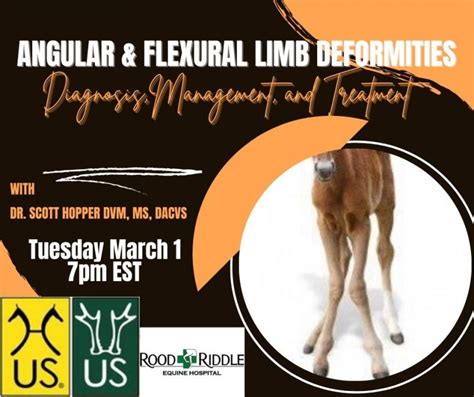 Angular And Flexural Limb Deformities Graphic The American Hanoverian Society