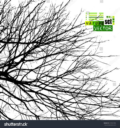 Bare Tree Branches Vector Stock Vector Royalty Free 319541990 Shutterstock