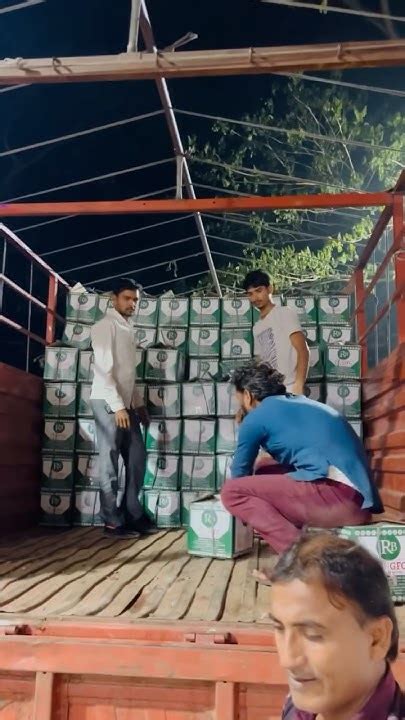 Farm Fresh Chikoo Gfc Amalsad Shorts Chikoo Gujarat Youtubeshorts