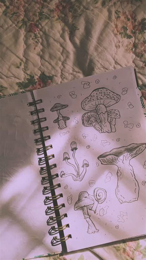 Cottagecore Mushroom Doodles Art By Mothryn Drawing Ideas