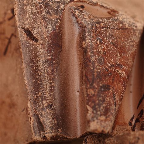 Alkalized Cocoa Mass Jhy02 Alkalized Cocoa Liquor